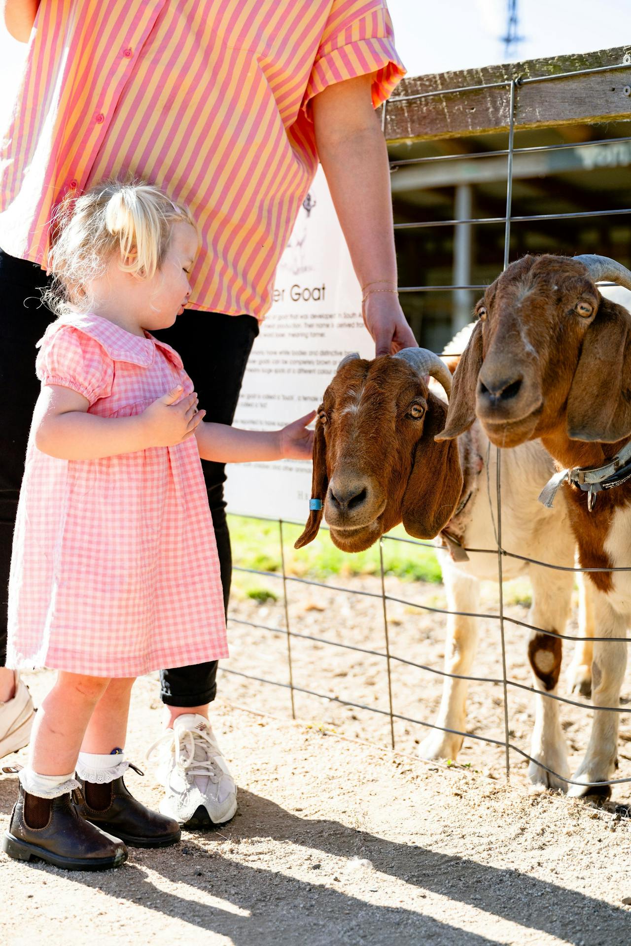 Events in Orange NSW - Orange360 - Orange 360