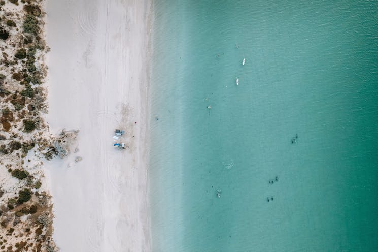 Emu Bay Beach • Kangaroo Island, South Australia