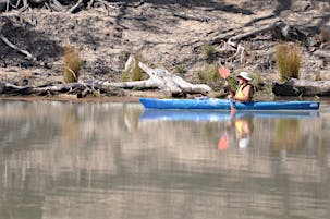 Chowilla Game Reserve And Regional Reserve - Renmark, Attraction ...