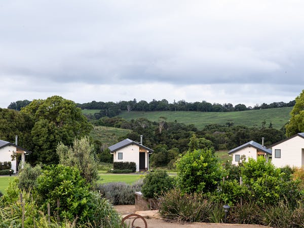 Beechmont Estate | Accommodation | Queensland