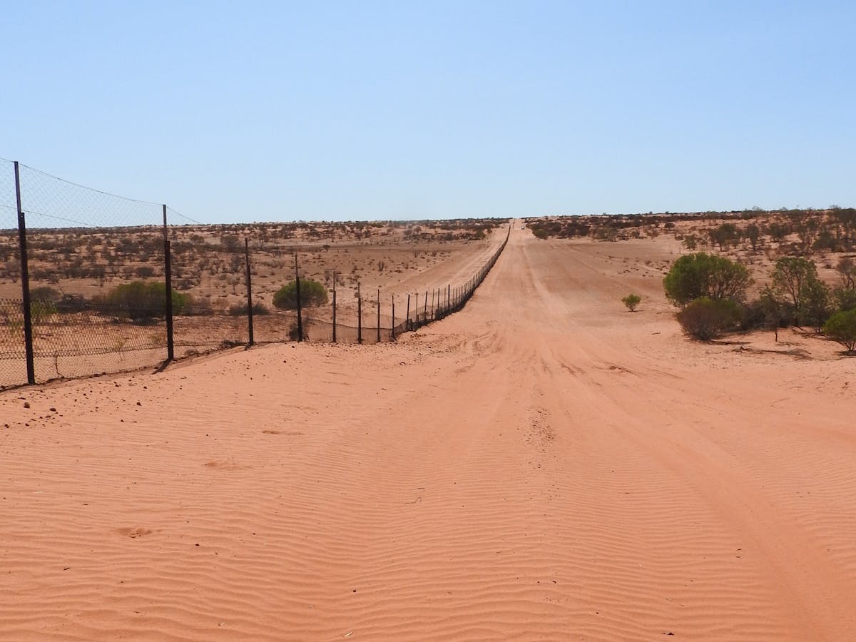 Hungerford | Destination-information | Queensland