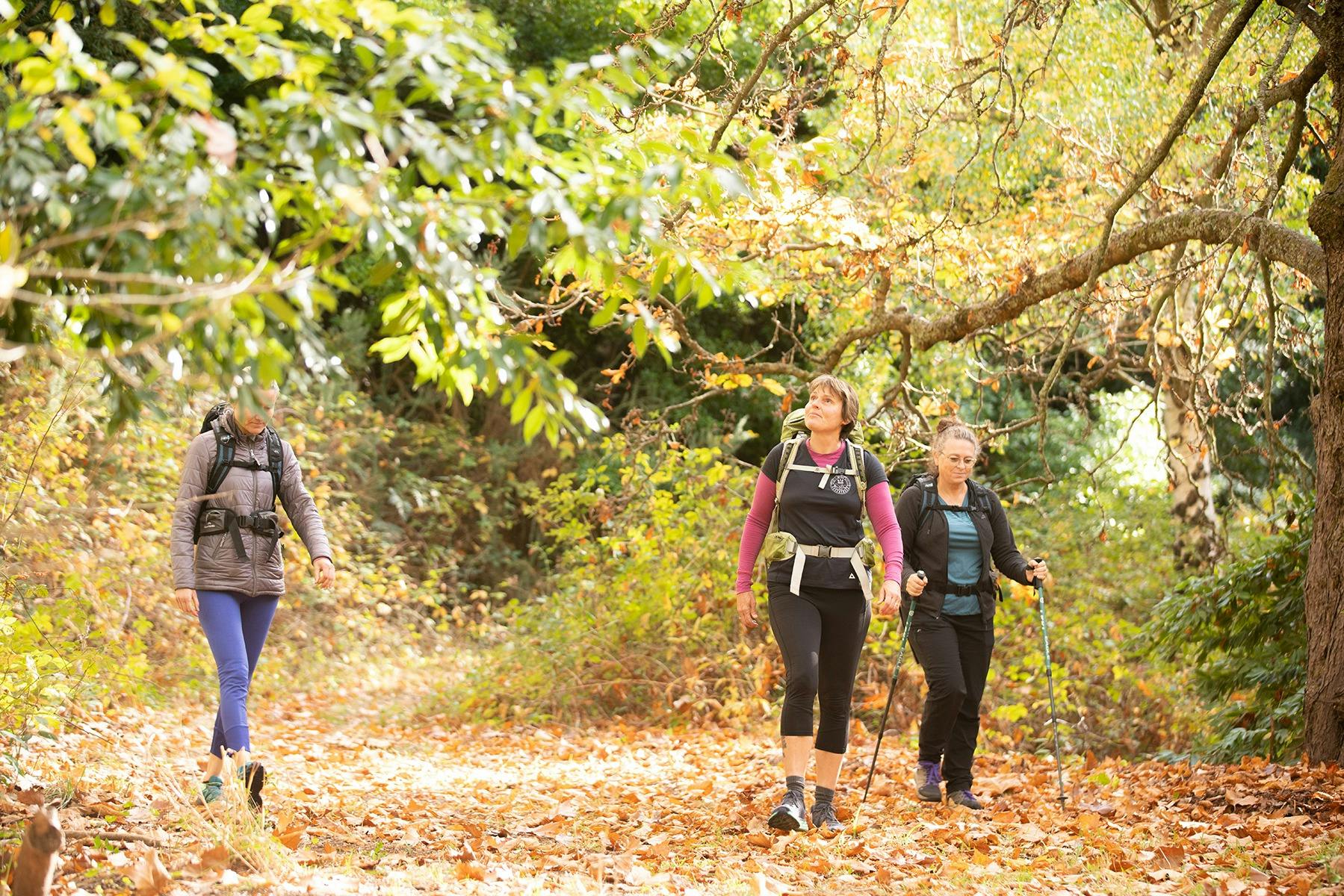 Big Heart Adventures Walking and Wellbeing | Browse and Book Nearby ...