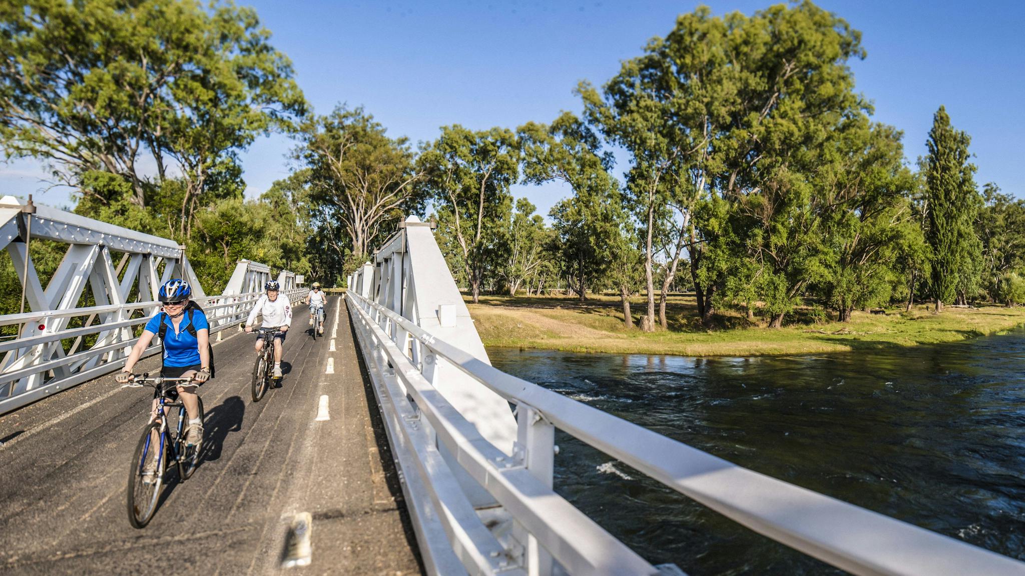 Tumut River Walk in Tumut - The Fold: Your Guide to Everything Regional ...