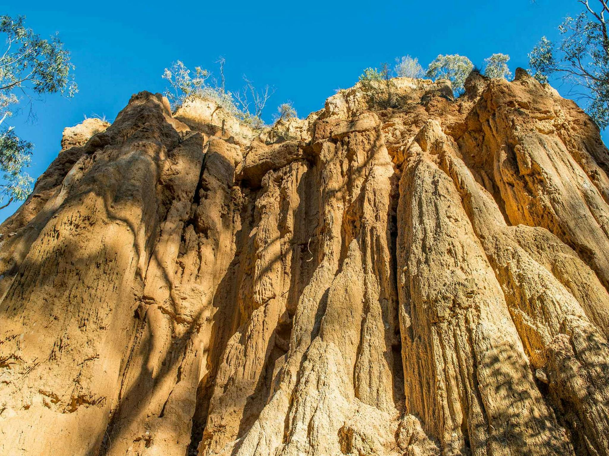 Golden Gully Walking Track | Browse and Book Nearby Caravan Parks