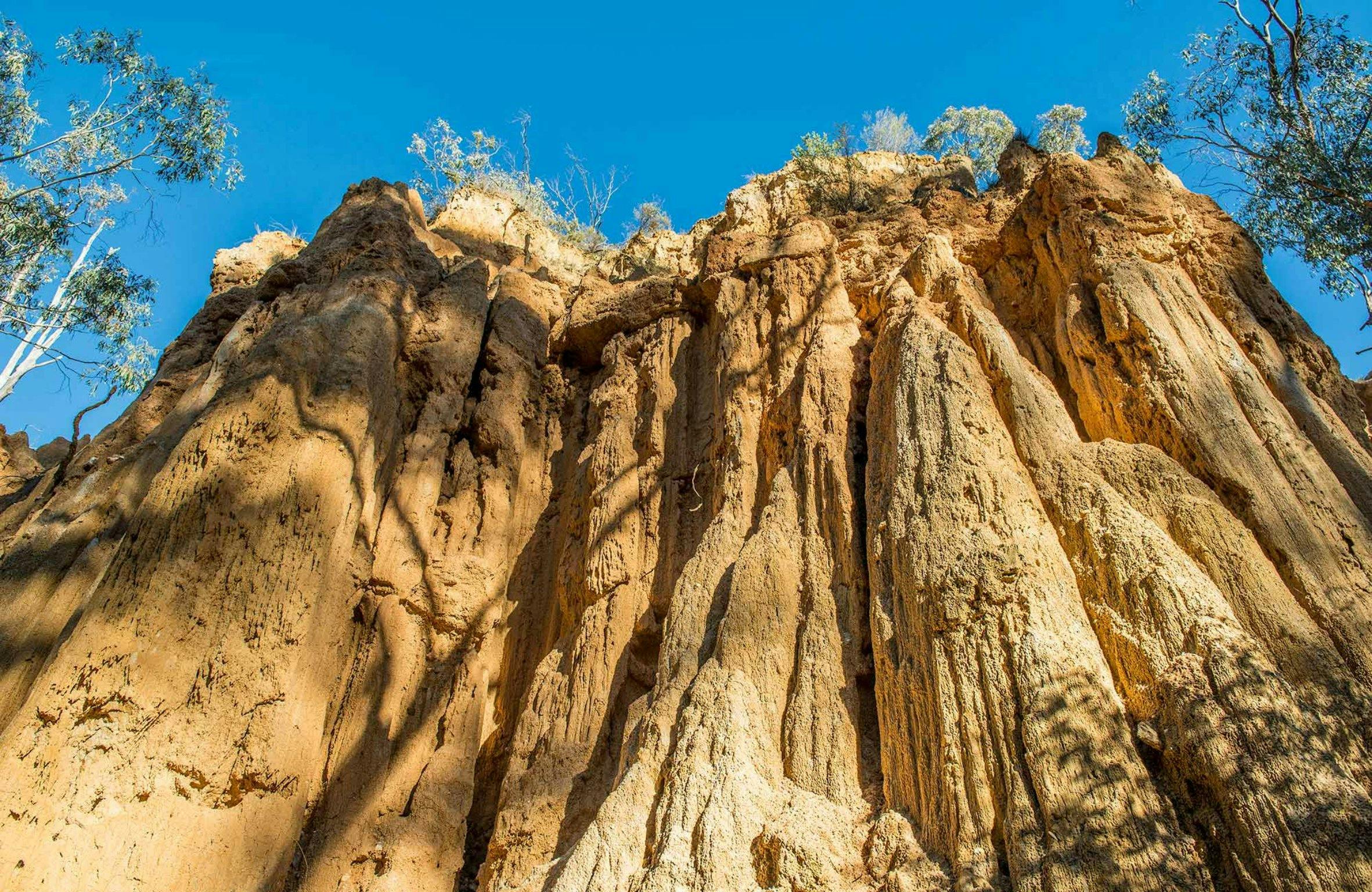 Golden Gully Walking Track | NSW Holidays & Accommodation, Things to Do ...