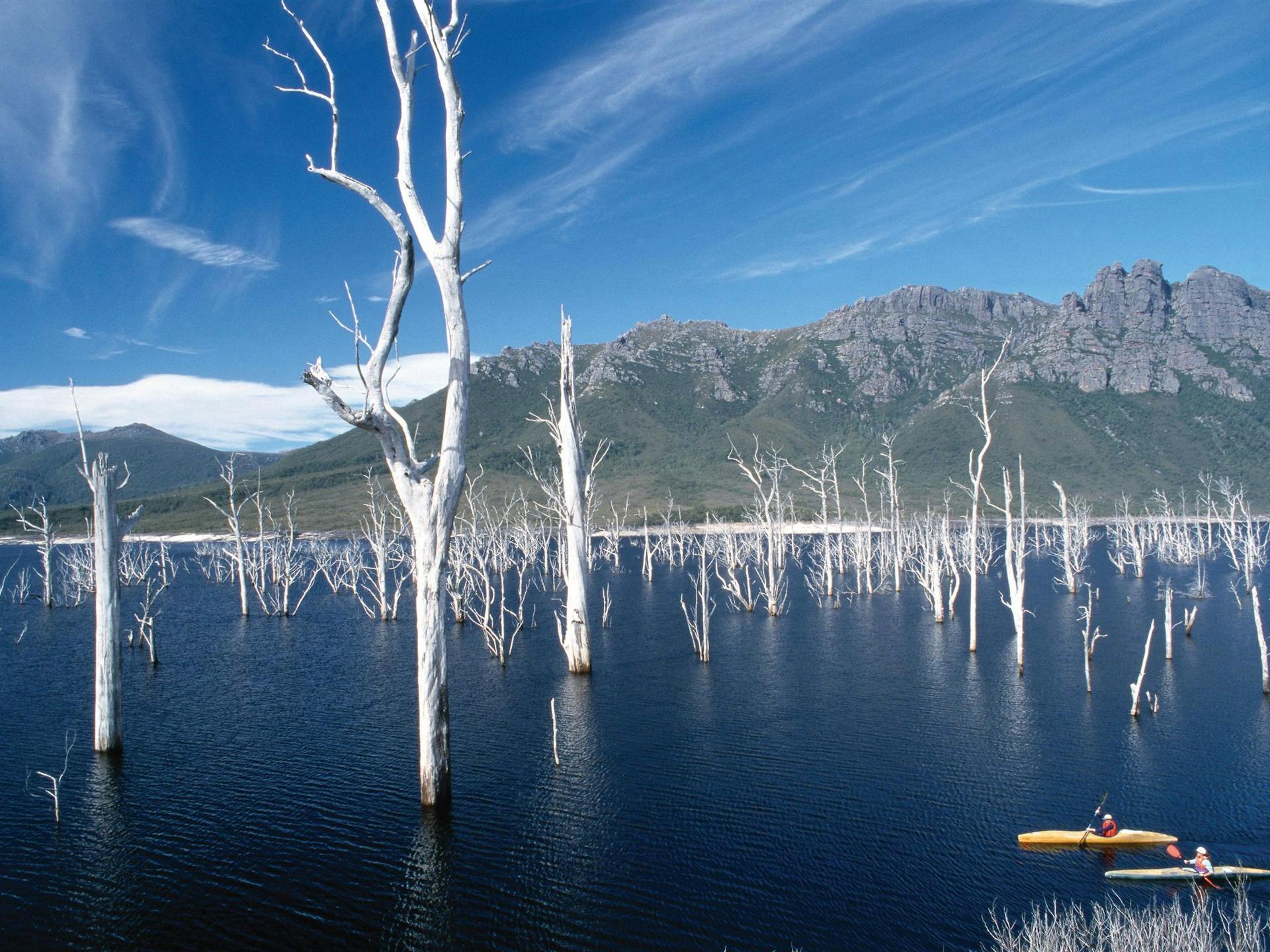 Lake Gordon - Lake Pedder - Strathgordon in Strathgordon - The Fold ...