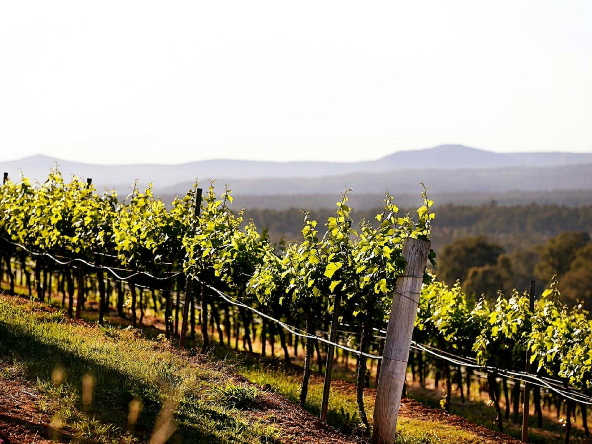 Mount View | NSW Holidays & Accommodation, Things to Do, Attractions ...