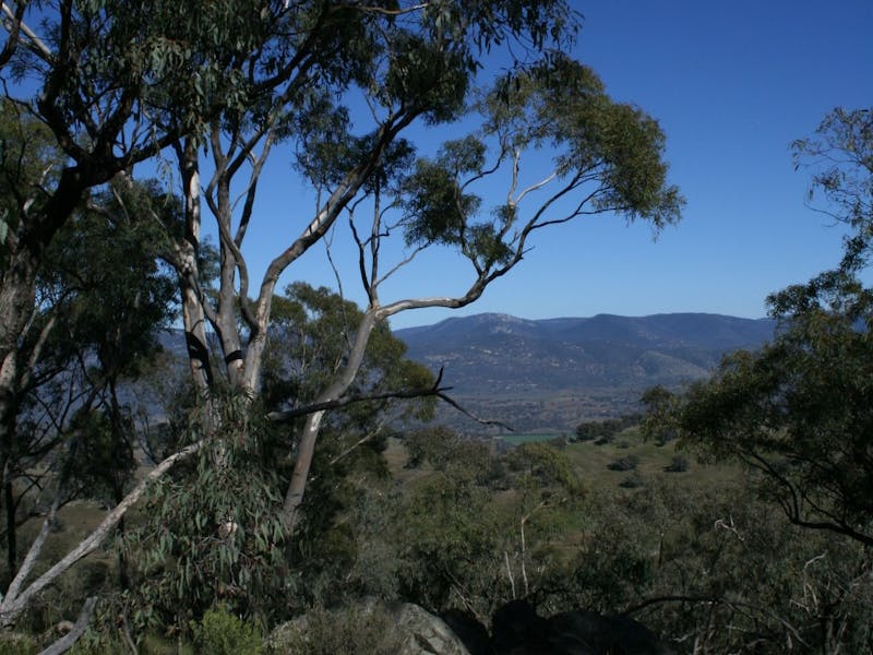 Canberra Nature Park in Canberra - The Fold: Your Guide to Everything ...