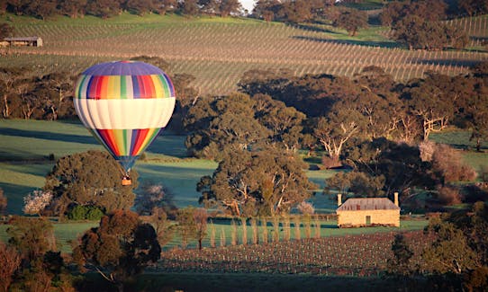 Barossa Balloon Flights - Nuriootpa | Tour Down Under