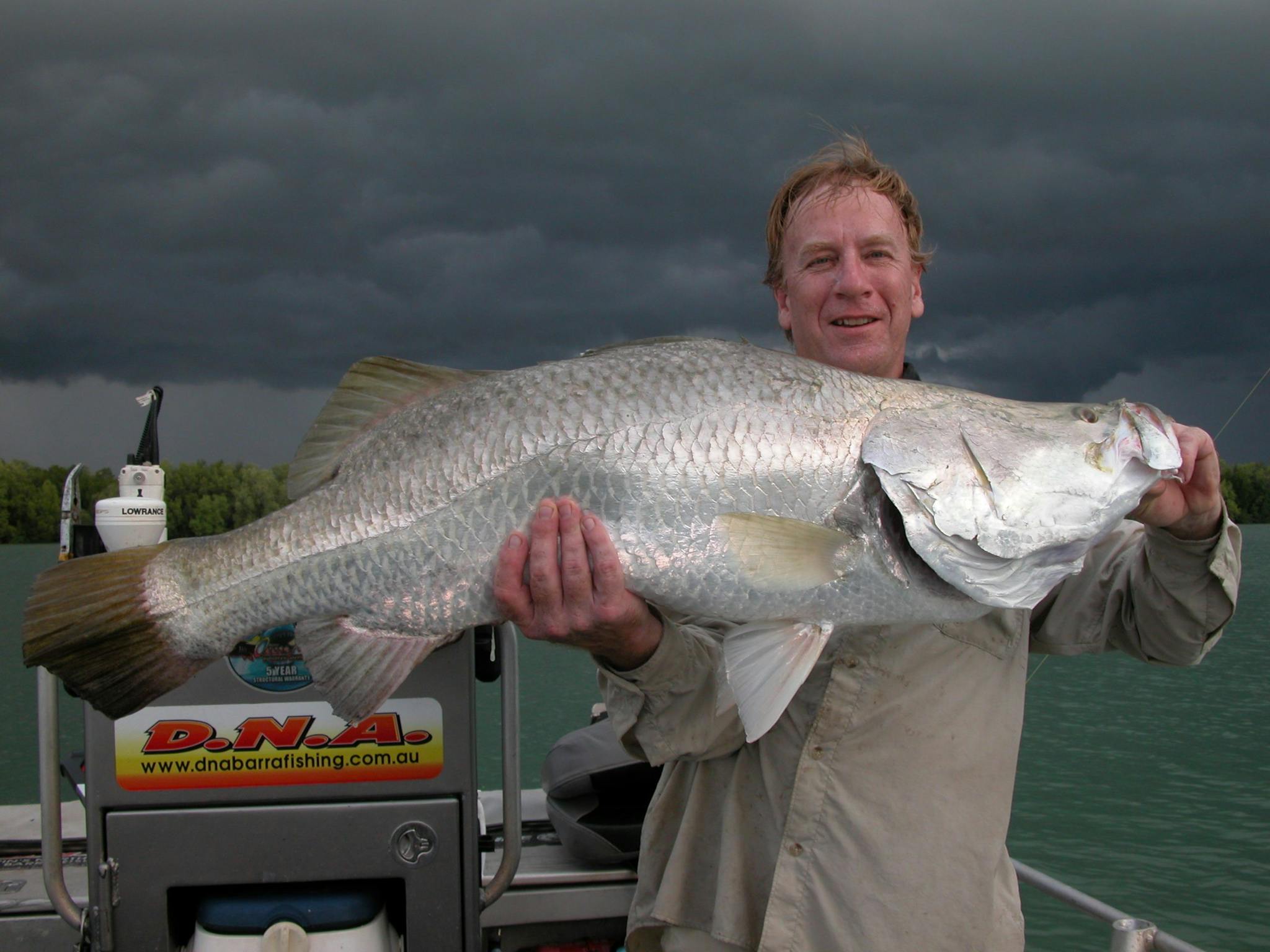 DNA Barra Fishing in Darwin - The Fold: Your Guide to Everything ...