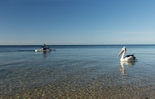 North Beach - Wallaroo, Destination Information