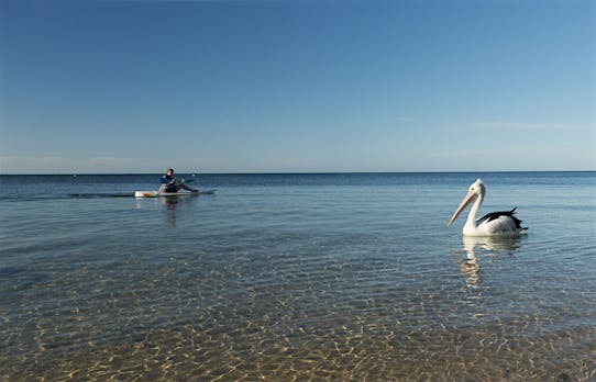 North Beach - Wallaroo, Destination Information | South Australia