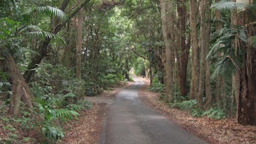 Iplay Adventure Coomera | Attractions | Queensland