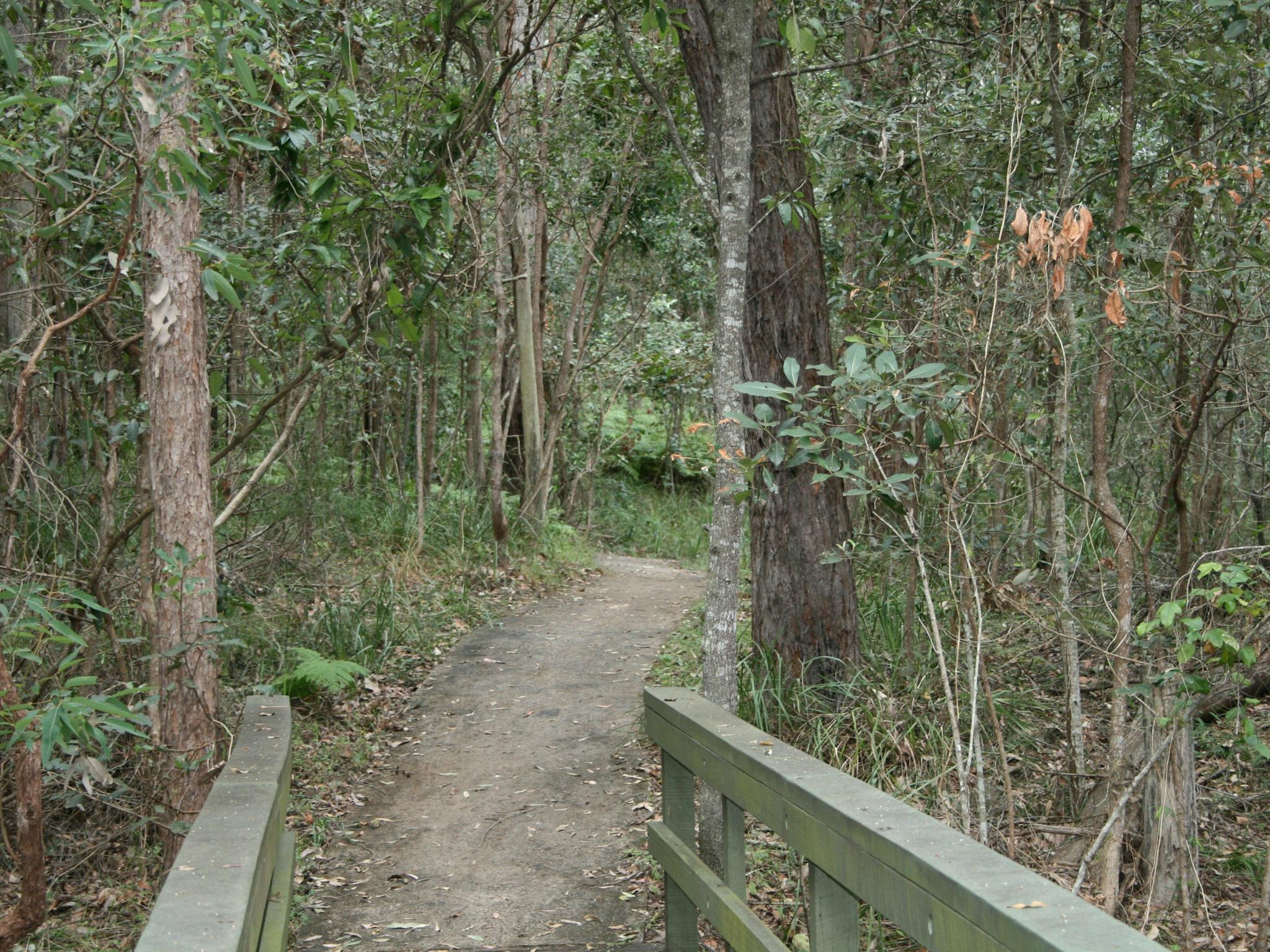 Springwood Conservation Park | Attractions | Queensland