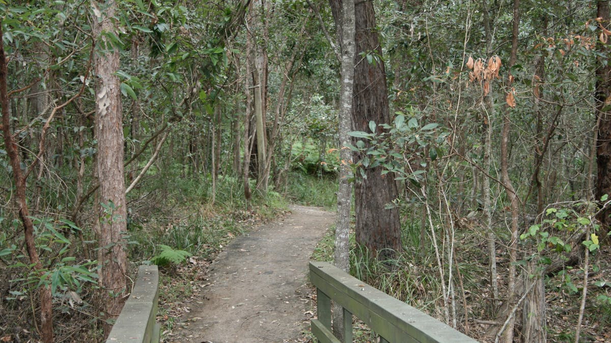 Springwood Conservation Park | Attractions | Queensland