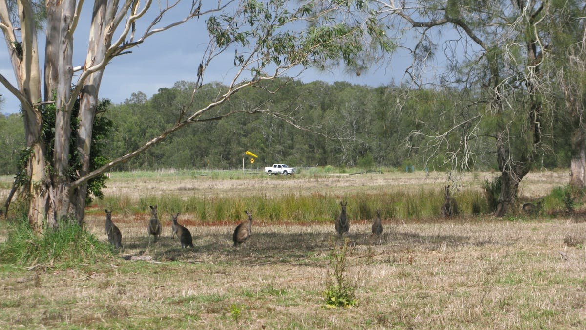Coombabah Lakes Conservation Area | Attractions | Queensland