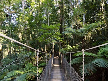 North Gorge Walk Point Lookout | Journeys | Queensland