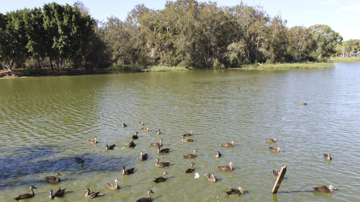 Moore Park Beach | Attractions | Queensland
