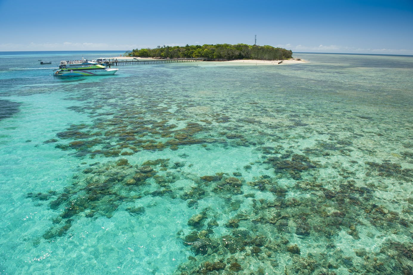 Big Cat Green Island Reef Cruises | Cairns & Great Barrier Reef