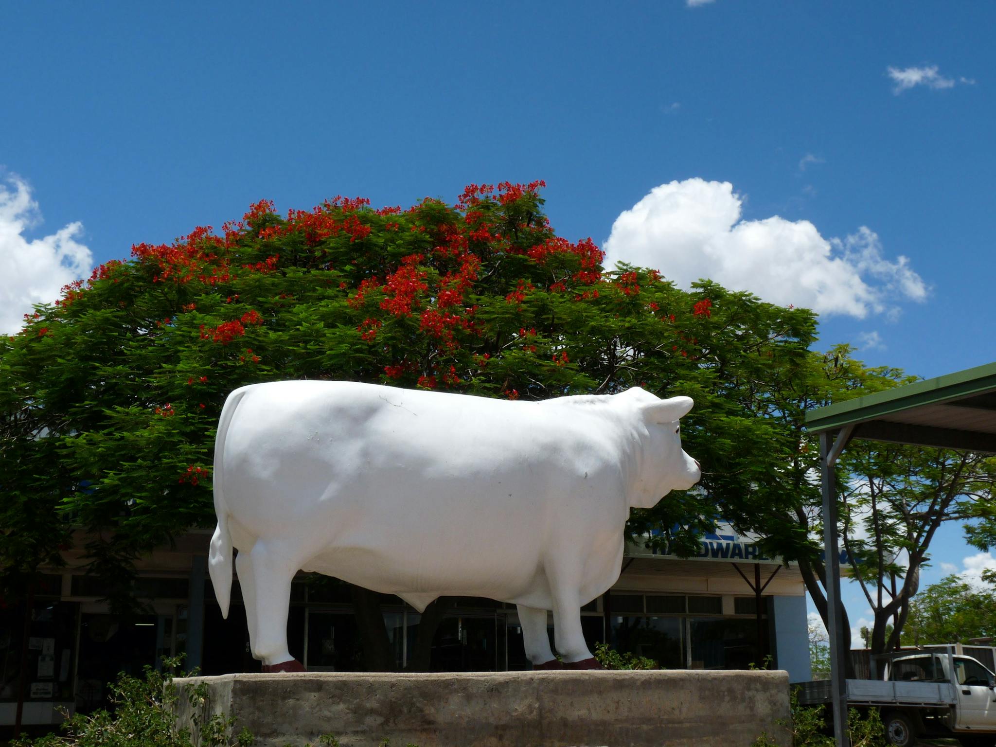 The White Bull Aramac | Attractions | Queensland