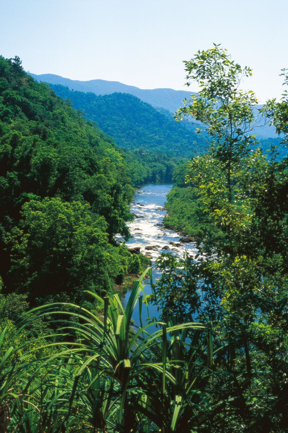 Tully Visitor Information Centre | Cairns & Great Barrier Reef