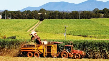 Visit Bundaberg - Things to Do & Planning Your Trip | Queensland