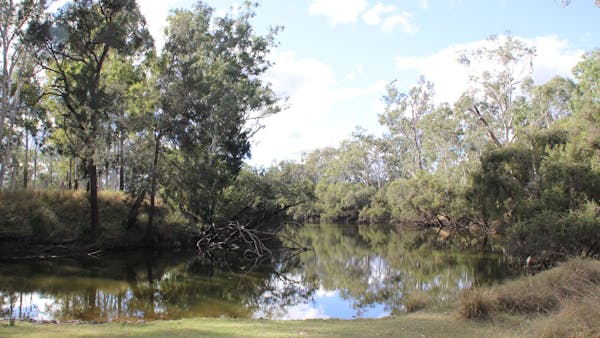 Mulgildie | Destination-information | Queensland