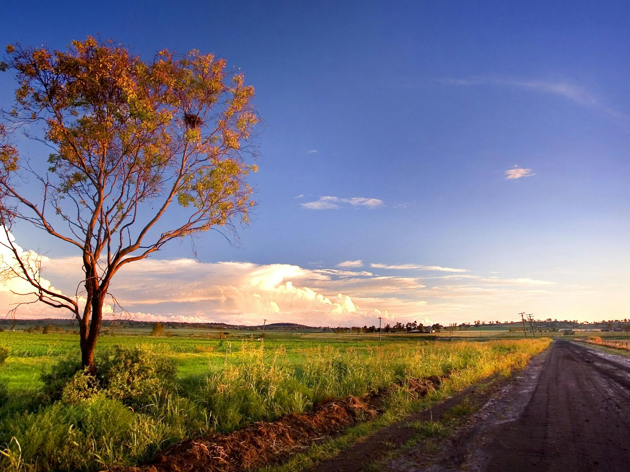 Kingsthorpe | Destination-information | Queensland