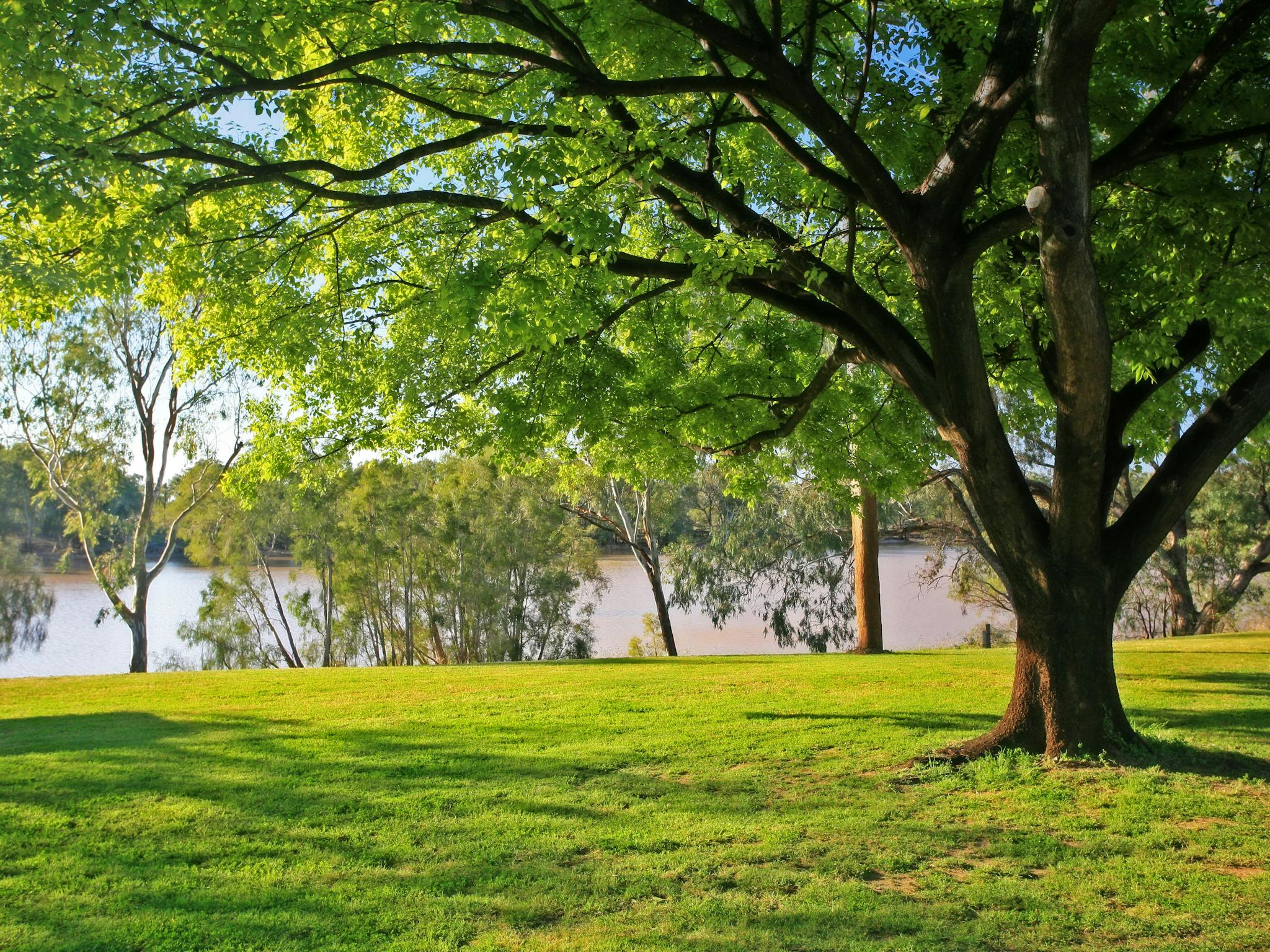 Daymar | Destination-information | Queensland