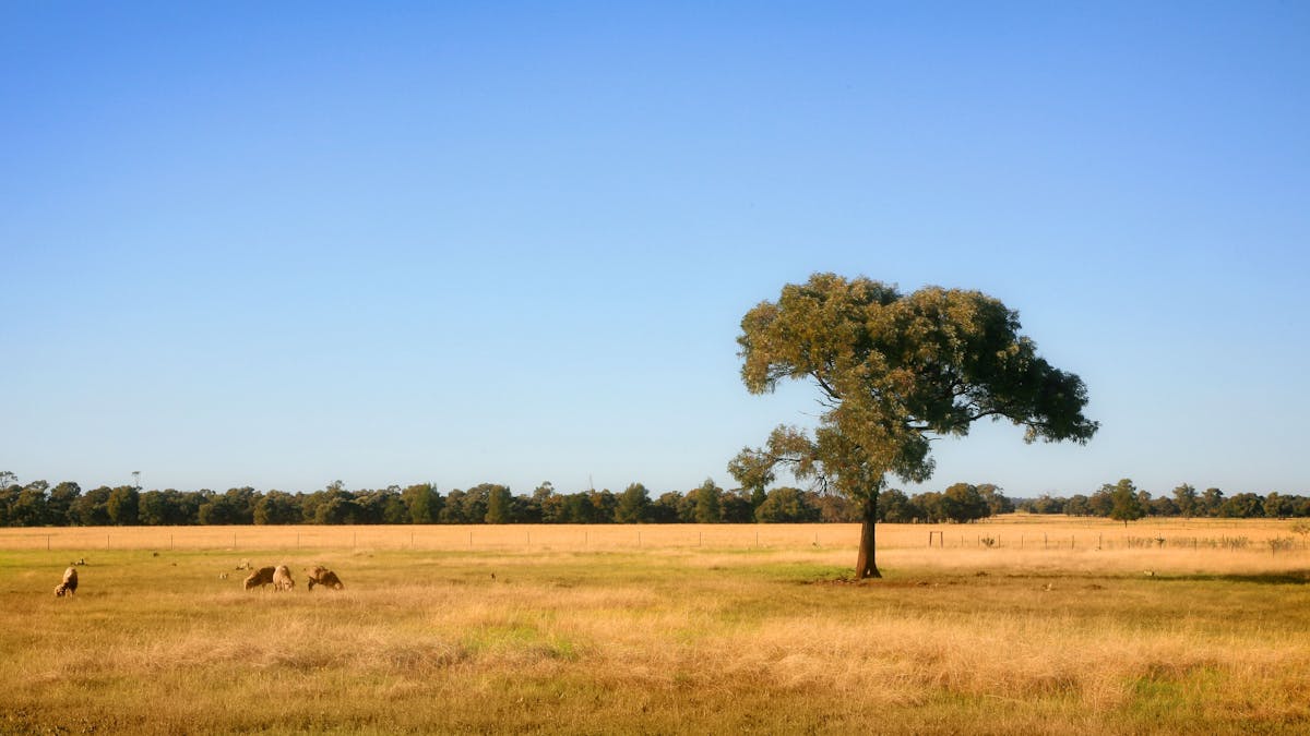 The Gums | Destination-information | Queensland