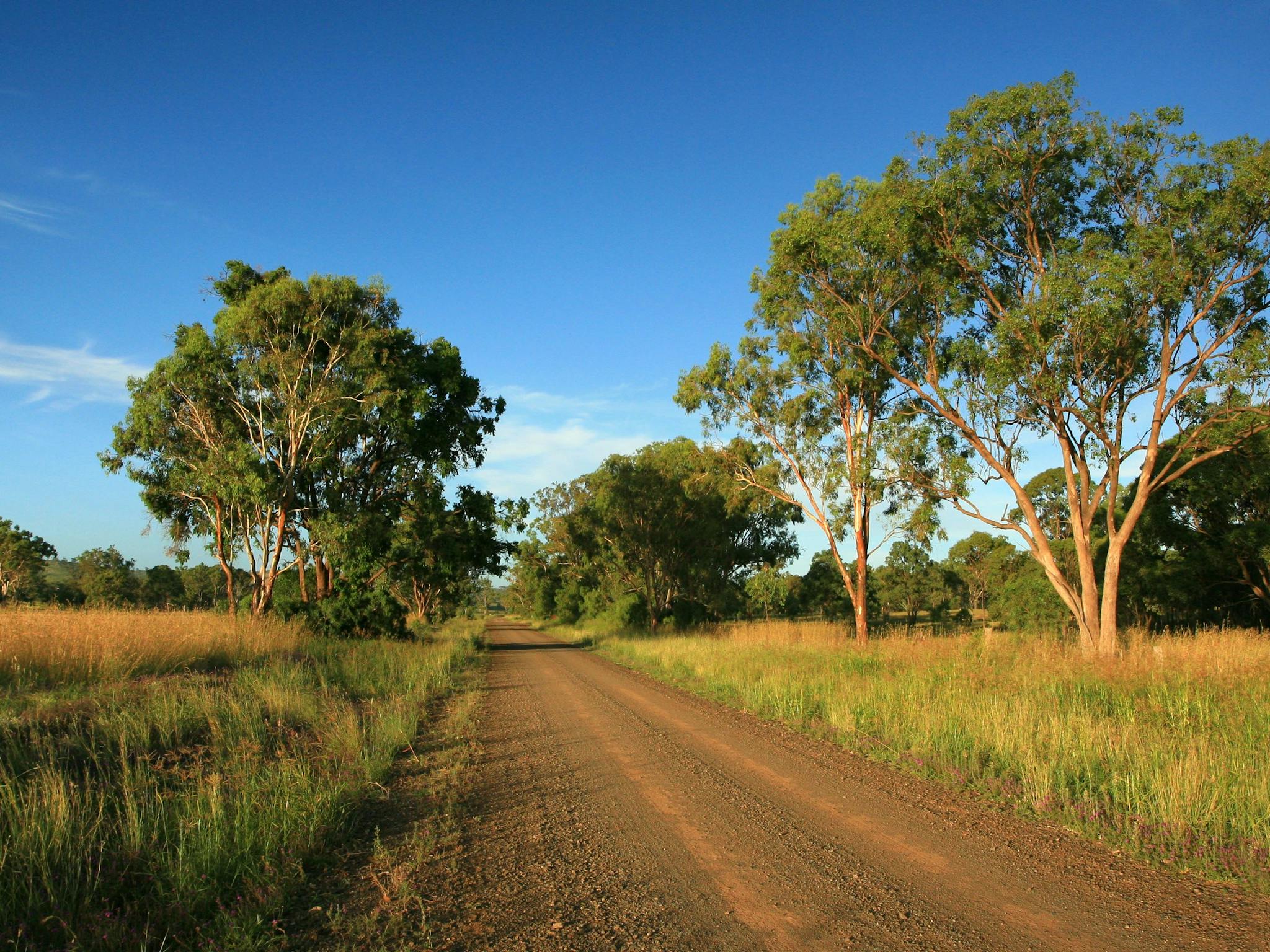 Maclagan | Destination-information | Queensland