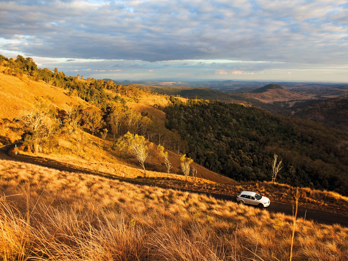 Bunya Mountains National Park - Attraction - Queensland