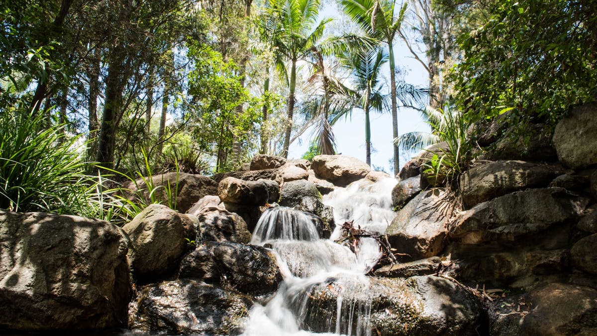 Kholo Gardens | Attractions | Queensland
