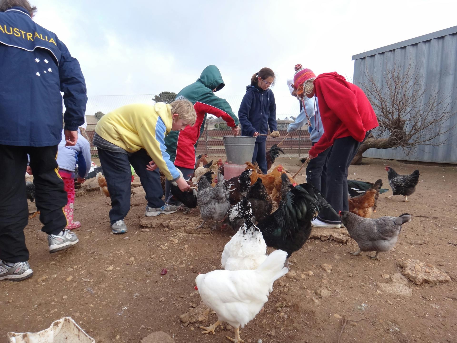 Bathurst Farm Experience in Perthville - The Fold: Your Guide to ...