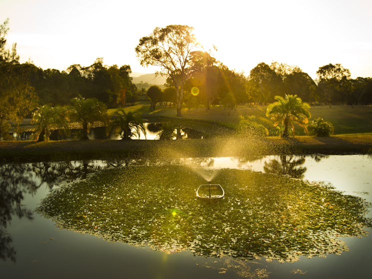 Golf Club Motor Inn Wingham | NSW Holidays & Accommodation, Things to ...