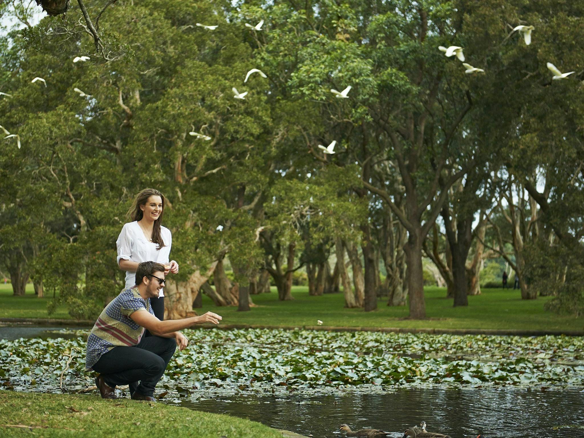 Centennial Parklands | Sydney, Australia - Official Travel ...