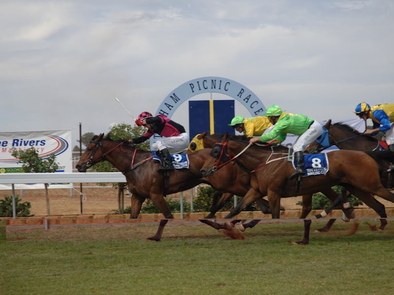 Tottenham Picnic Races | NSW Holidays & Accommodation, Things to Do ...
