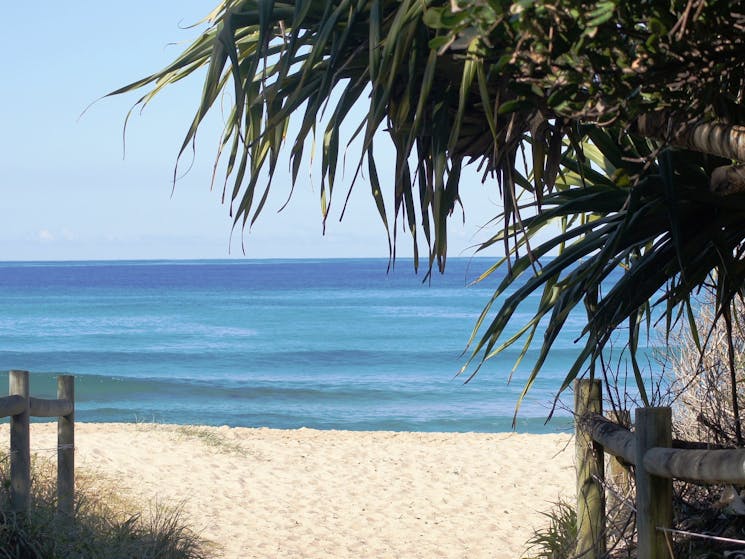 Sapphire Beach Holiday Park | NSW Holidays & Accommodation, Things to ...