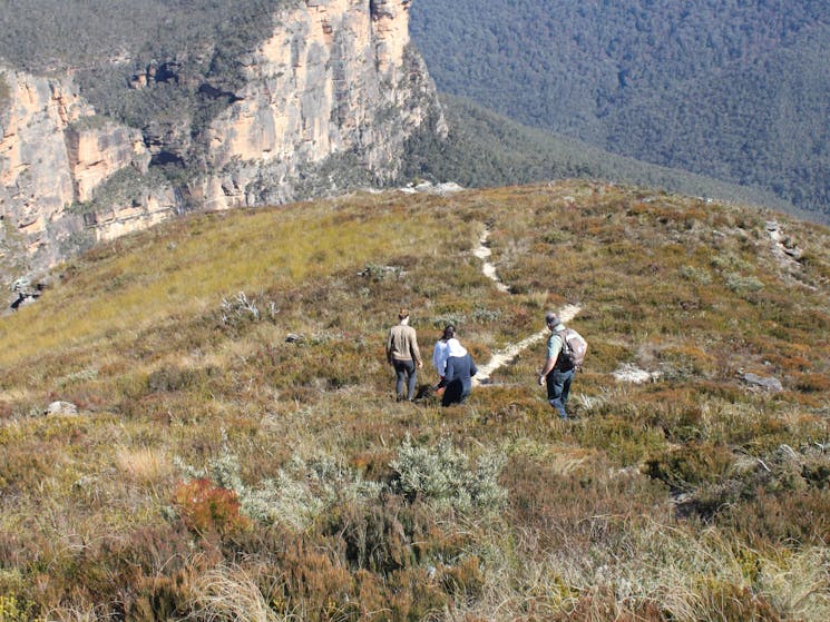 Bushwalking - Multi Day Expeditions | NSW Holidays & Accommodation ...
