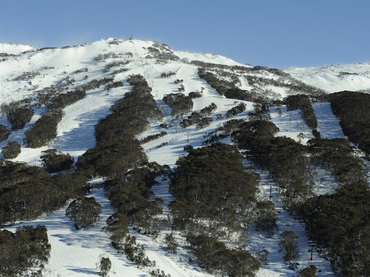 Thredbo Resort | NSW Holidays & Accommodation, Things to Do ...
