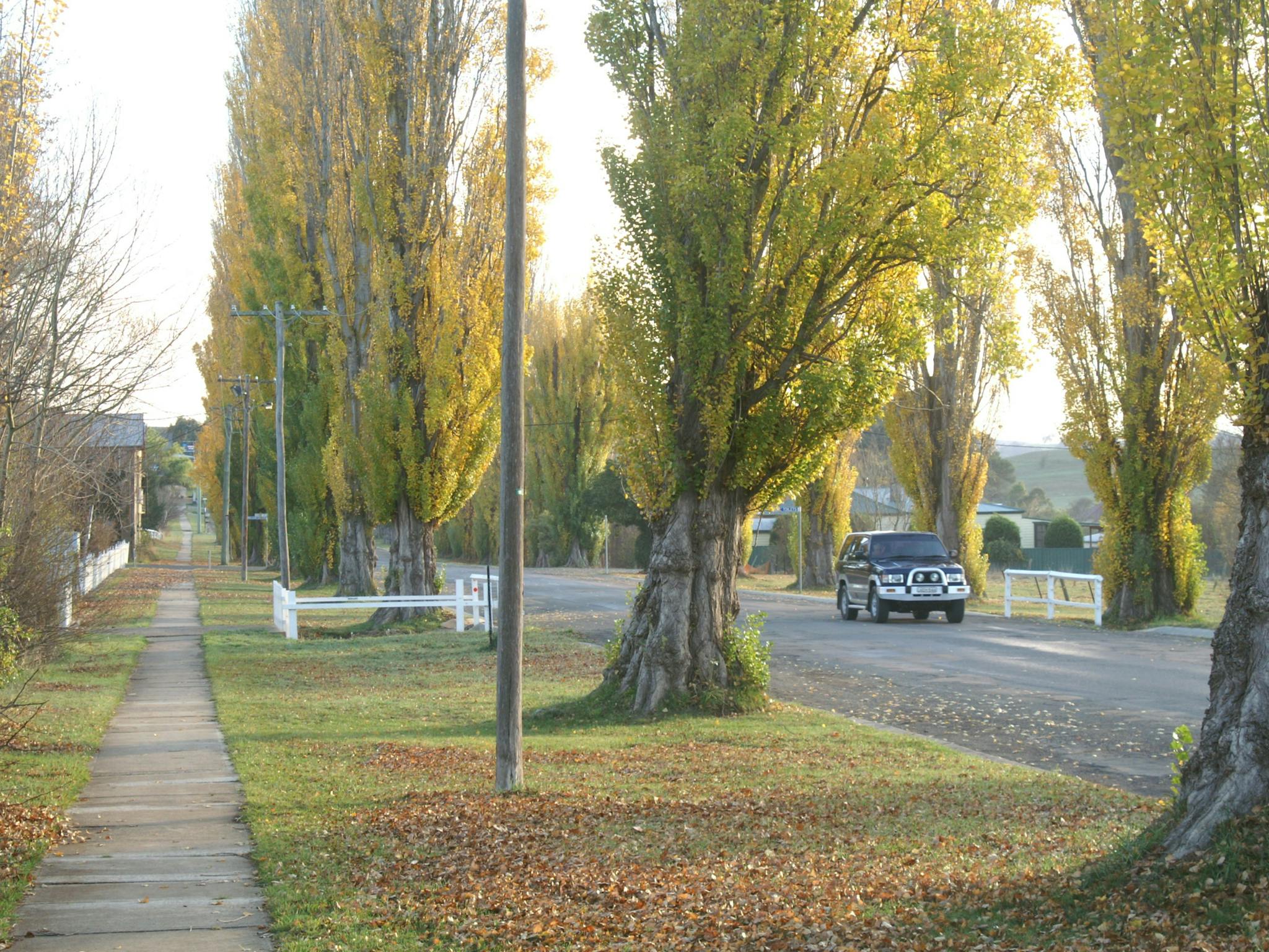 Taralga - Self Guided Heritage Walking Tours | NSW Holidays ...