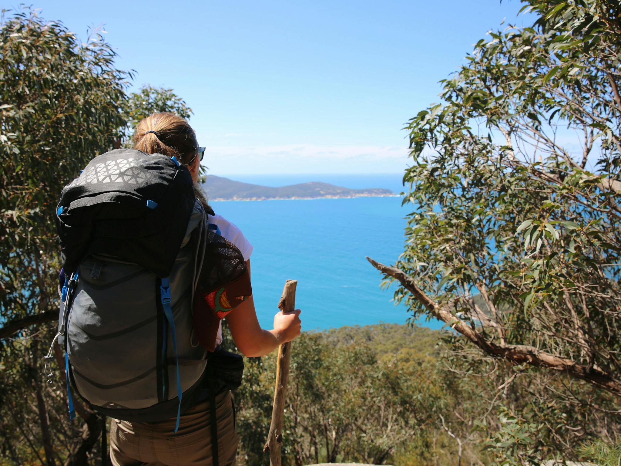 Wilsons Promontory Southern Circuit in Wilsons Promontory - The Fold ...