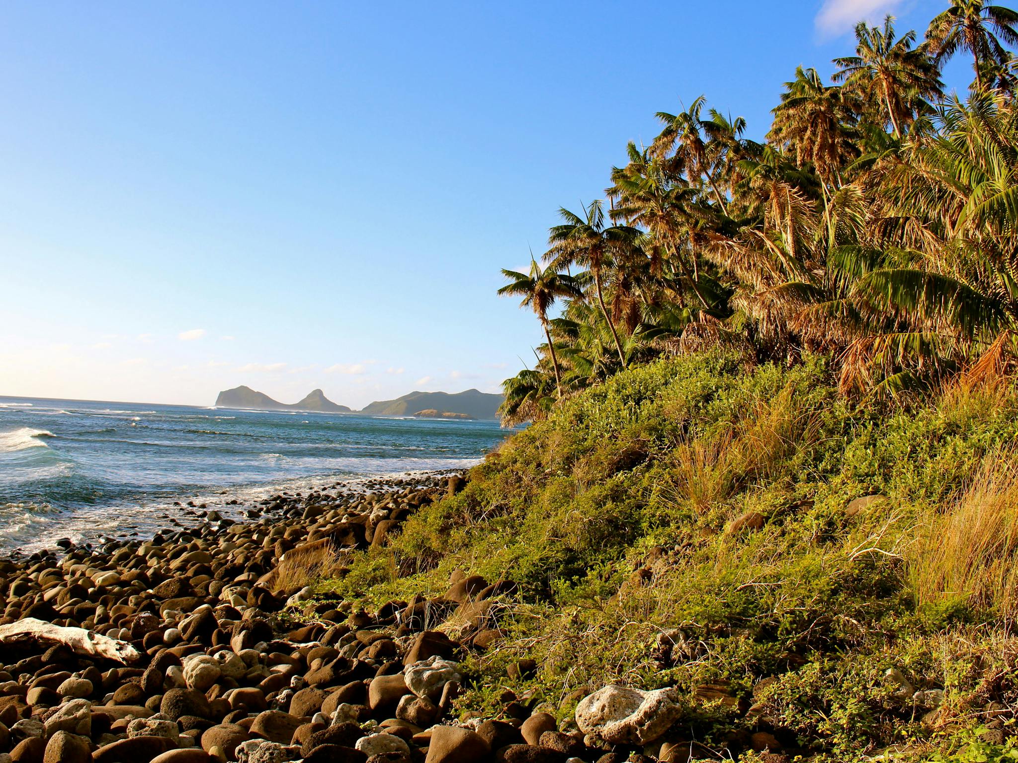 Little Island | NSW Holidays & Accommodation, Things to Do, Attractions ...