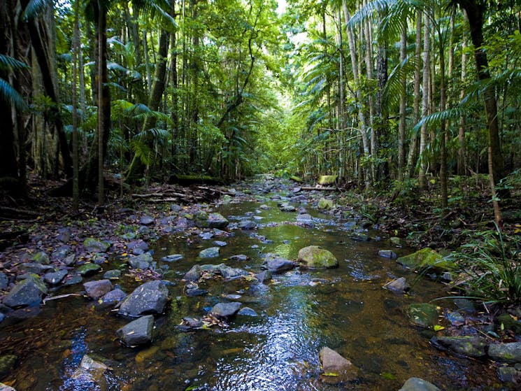 Nambucca Valley | NSW Holidays & Accommodation, Things to Do ...