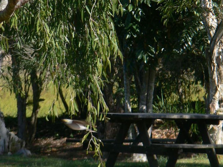 Windara | NSW Holidays & Accommodation, Things to Do, Attractions and ...