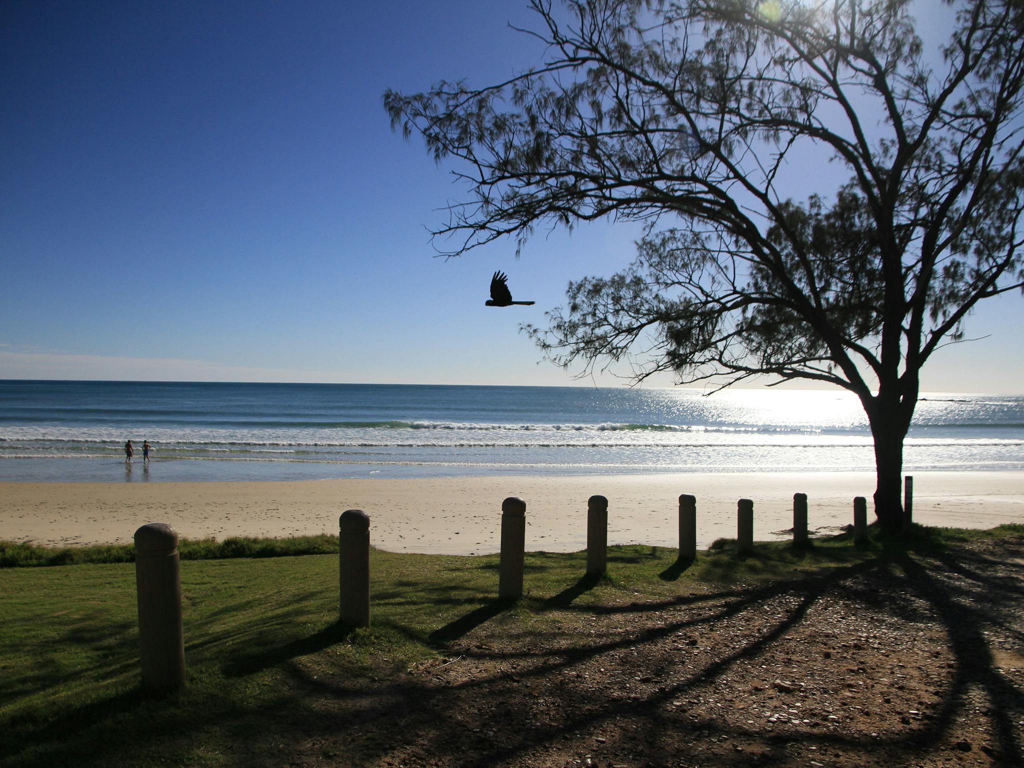 Minnie Water | NSW Holidays & Accommodation, Things to Do, Attractions ...