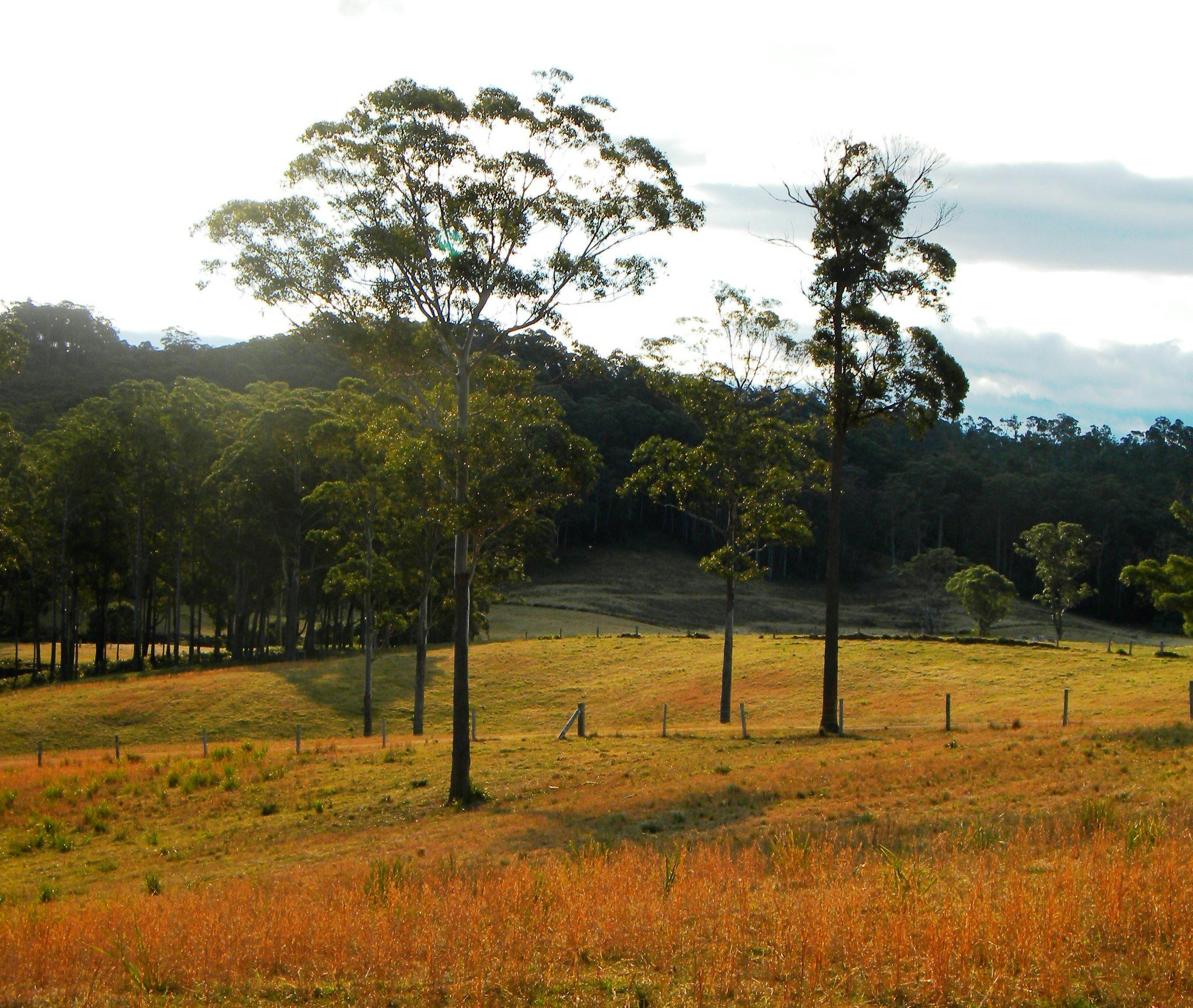 Termeil | NSW Holidays & Accommodation, Things to Do, Attractions and ...