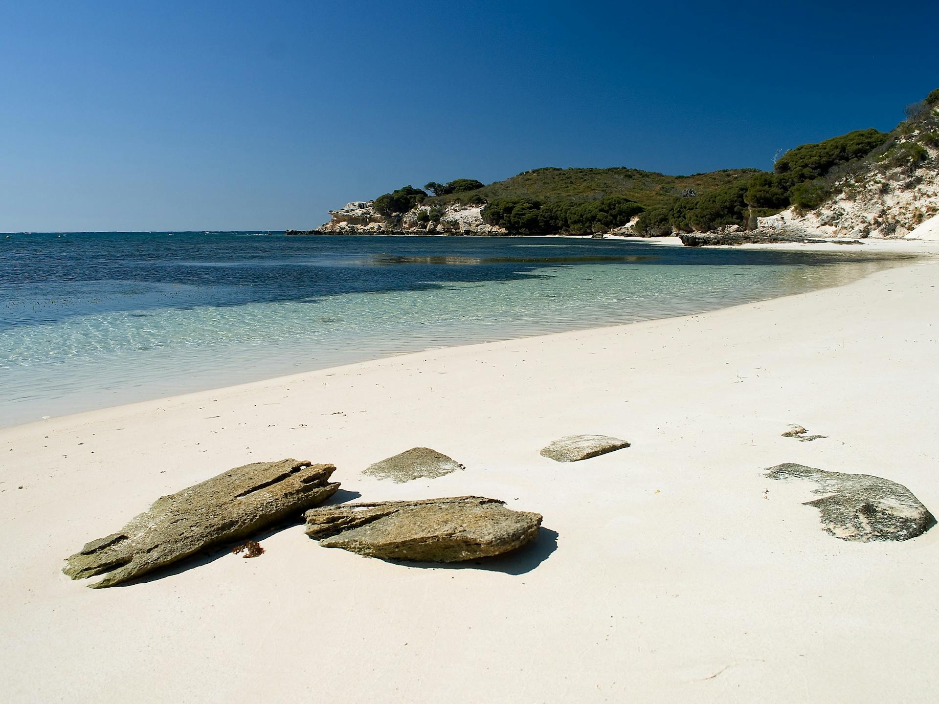 Porpoise Bay in Rottnest Island - The Fold: Your Guide to Everything ...