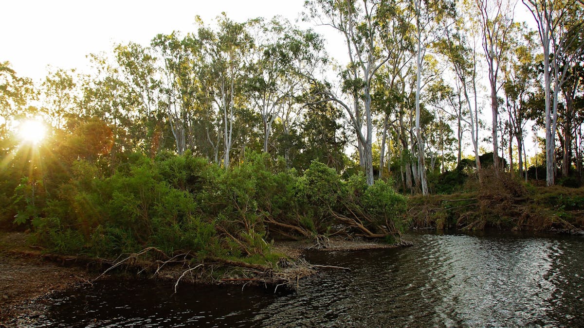 Dululu | Destination-information | Queensland
