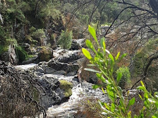 Hindmarsh Falls - Hindmarsh Valley, Attraction | South Australia